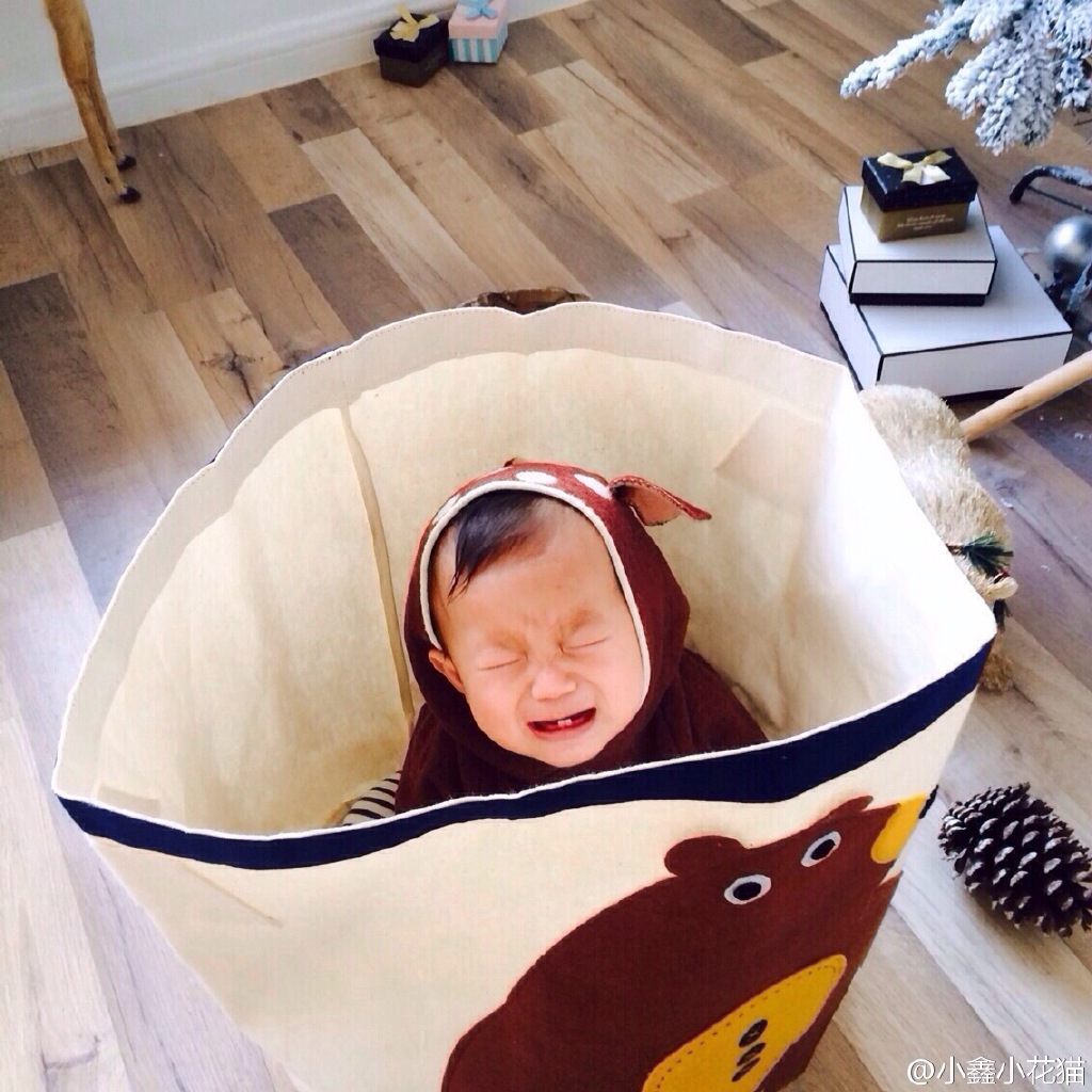 APP下载链接：https://itunes.apple.com/cn… - 高清图片，堆糖，美图壁纸兴趣社区