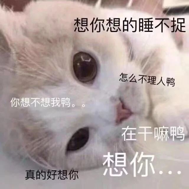 情侣甜蜜表情16 - 堆糖，美图壁纸兴趣社区