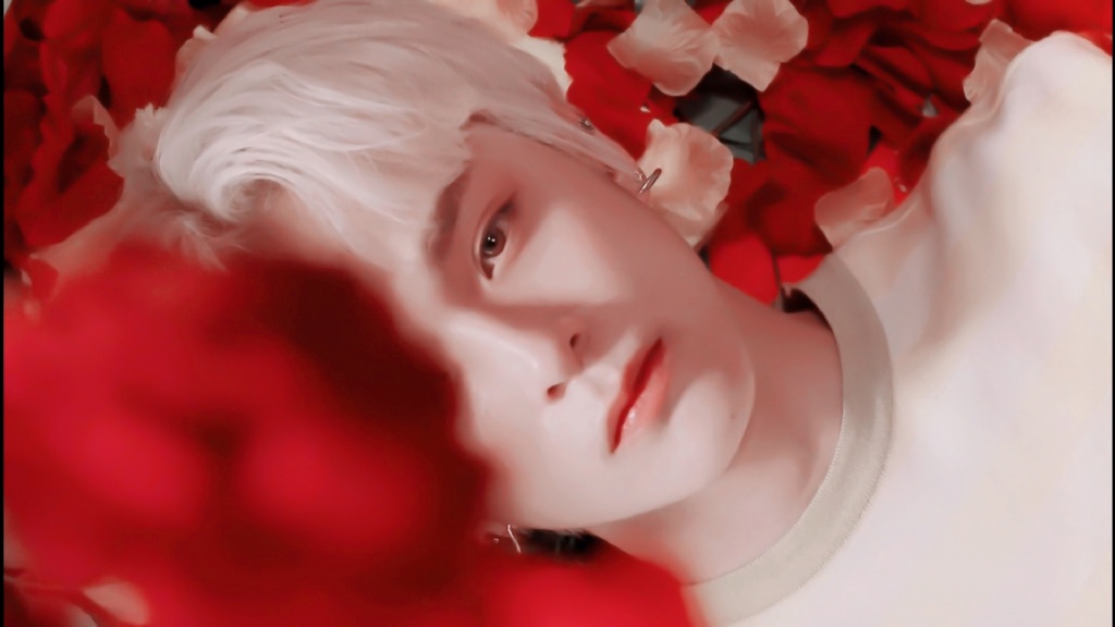 asahi - 高清图片，堆糖，美图壁纸兴趣社区