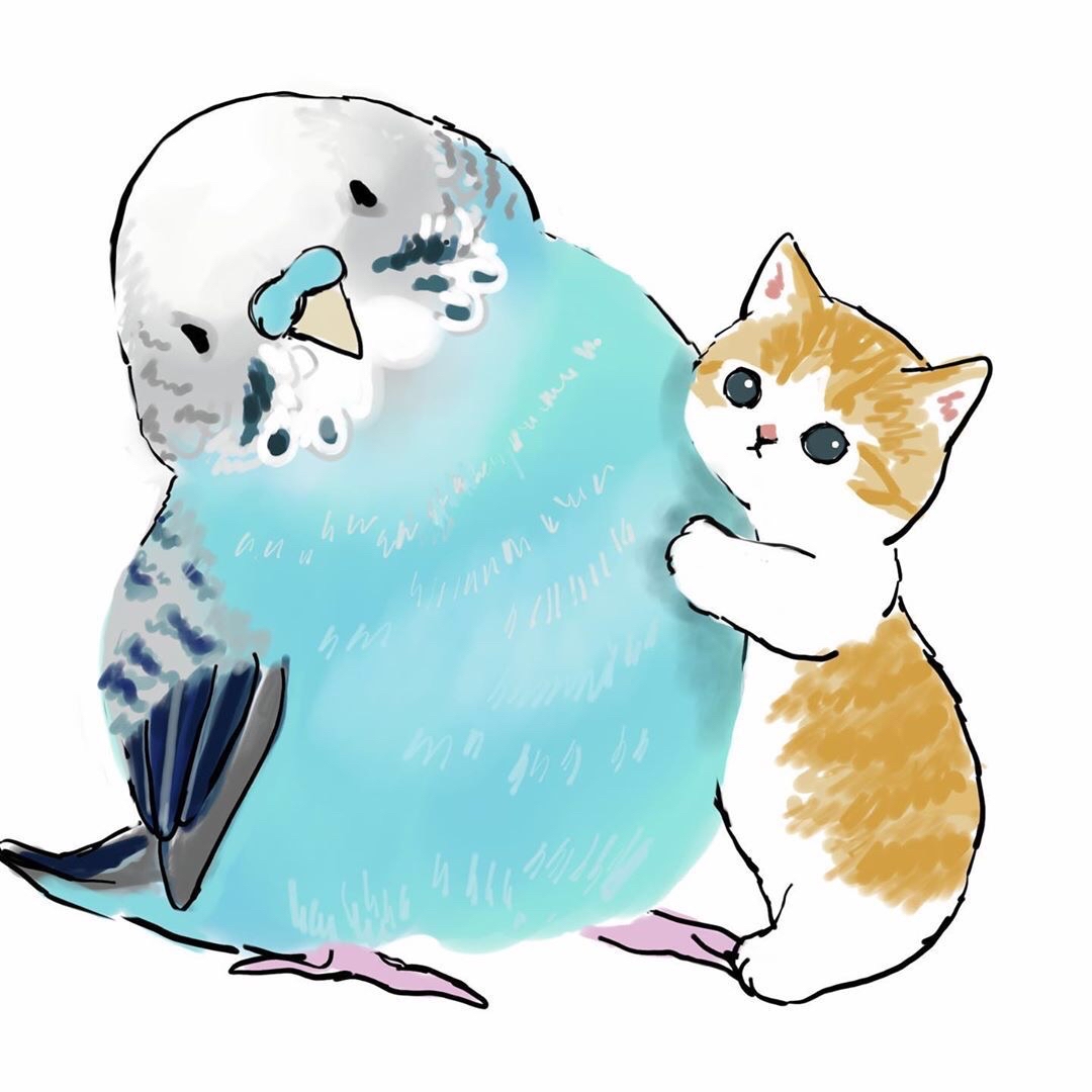 mofu sand - 高清图片，堆糖，美图壁纸兴趣社区