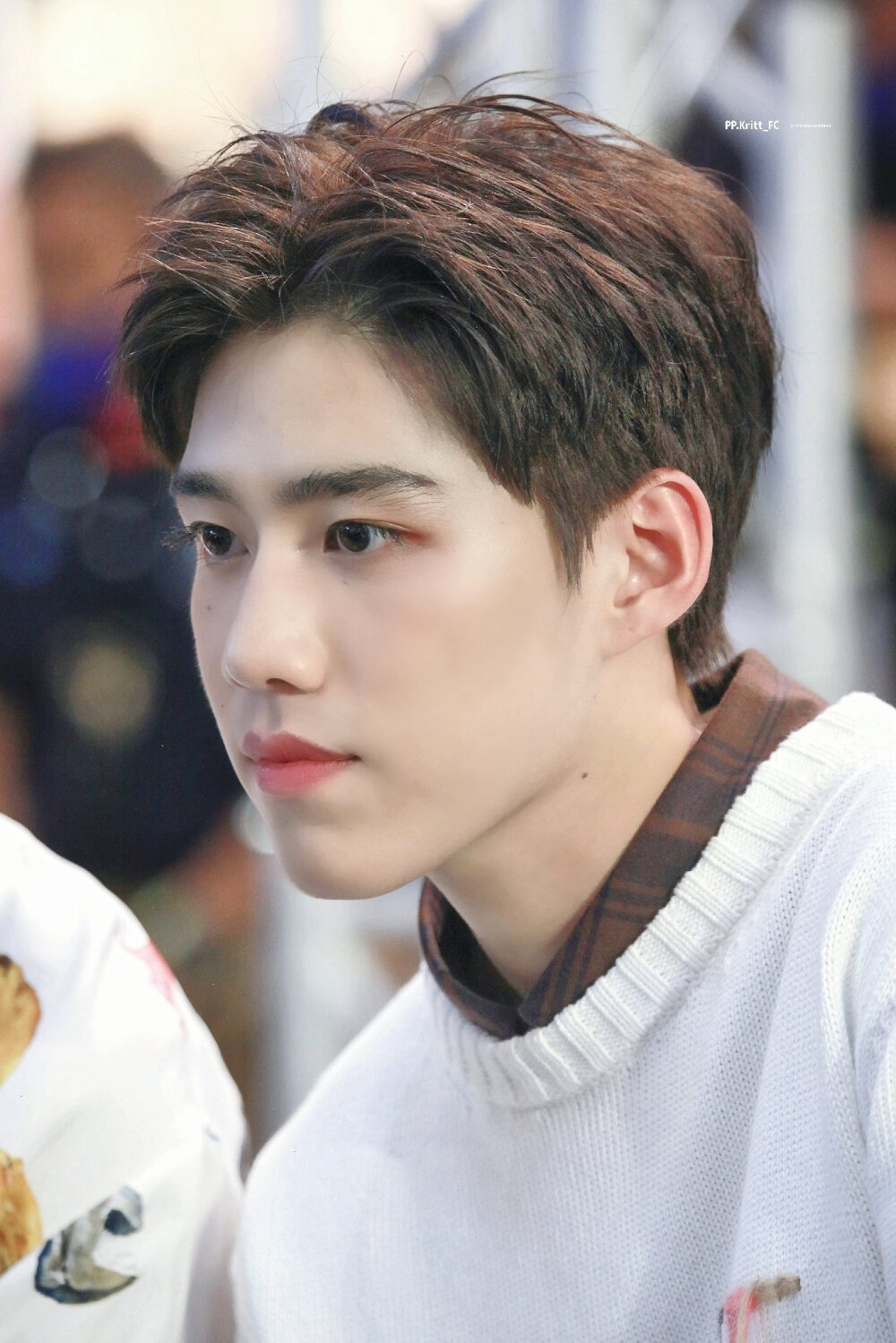 pp - 堆糖，美图壁纸兴趣社区