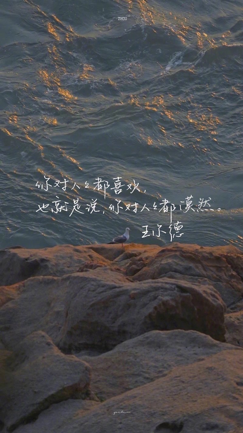 语录 堆糖,美图壁纸兴趣社区