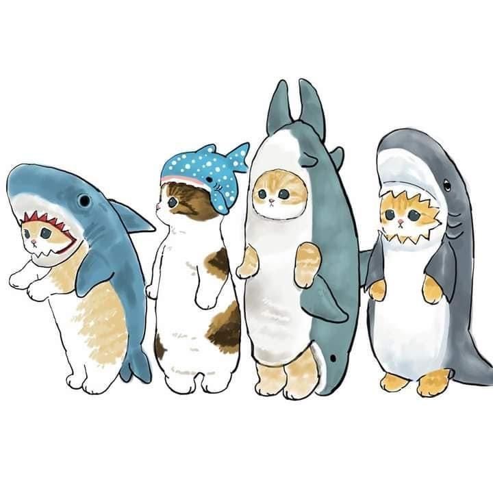 mofu_sand - 堆糖，美图壁纸兴趣社区