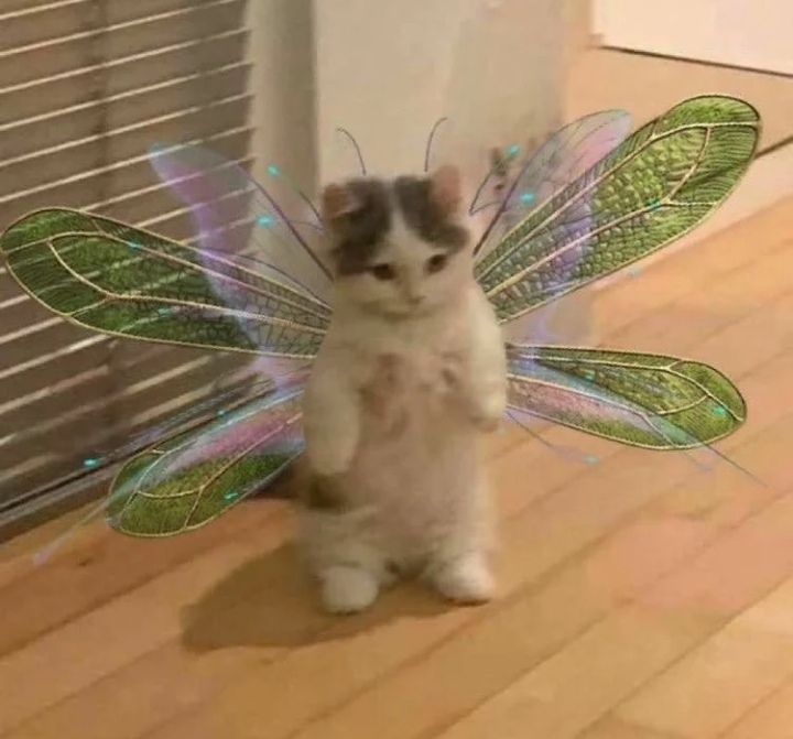 SOS - 高清图片，堆糖，美图壁纸兴趣社区