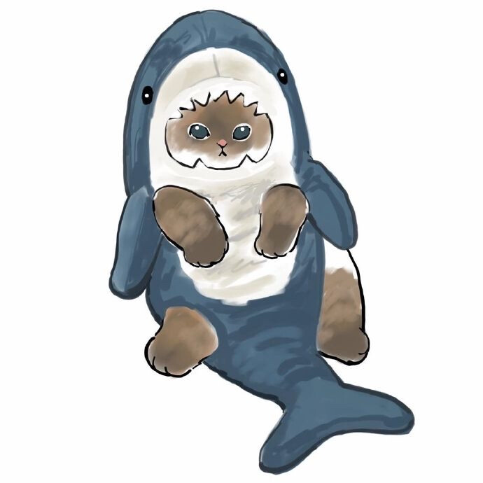 cr：mofu_sand - 堆糖，美图壁纸兴趣社区