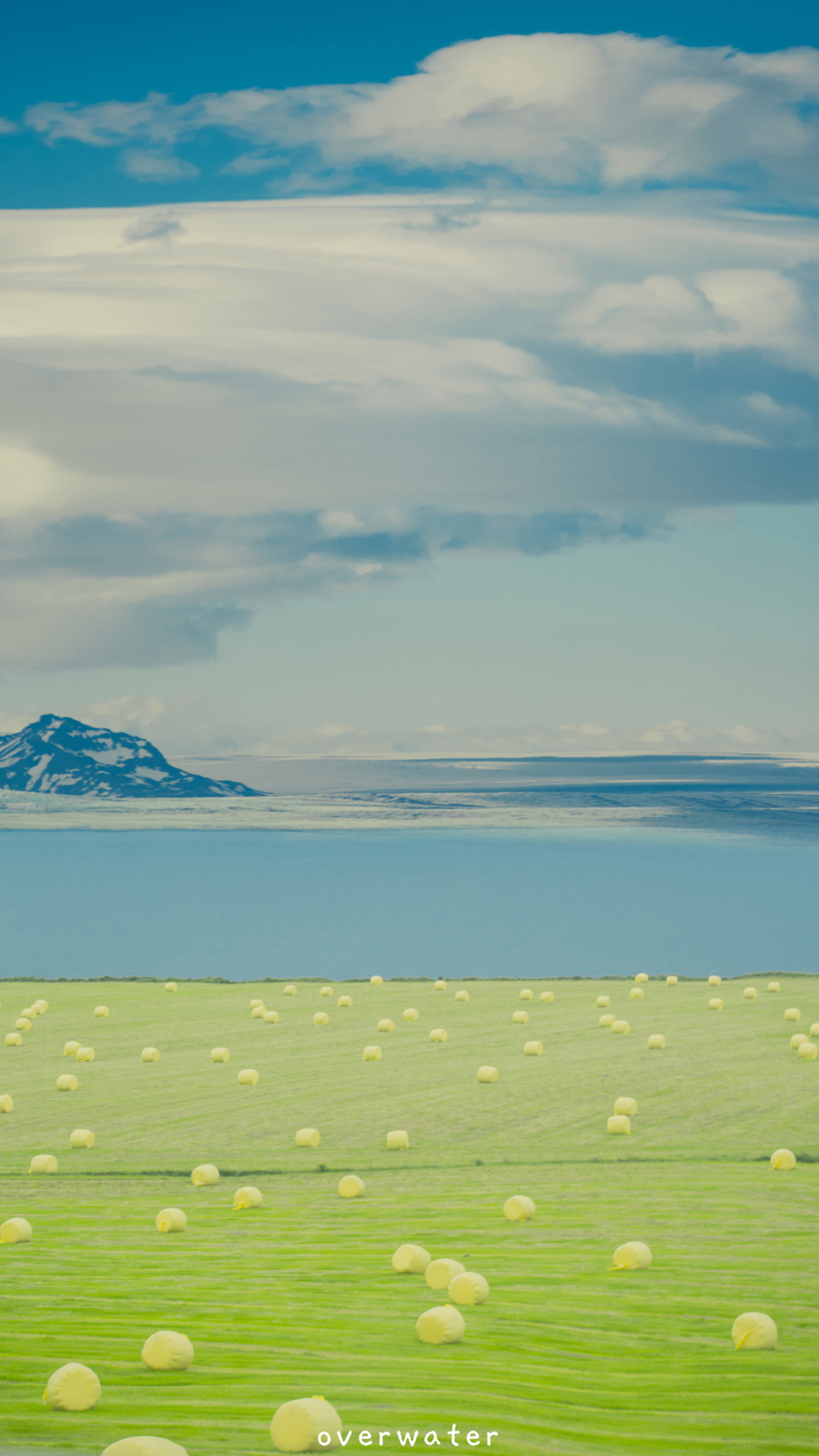 绿色壁纸 - 高清图片，堆糖，美图壁纸兴趣社区