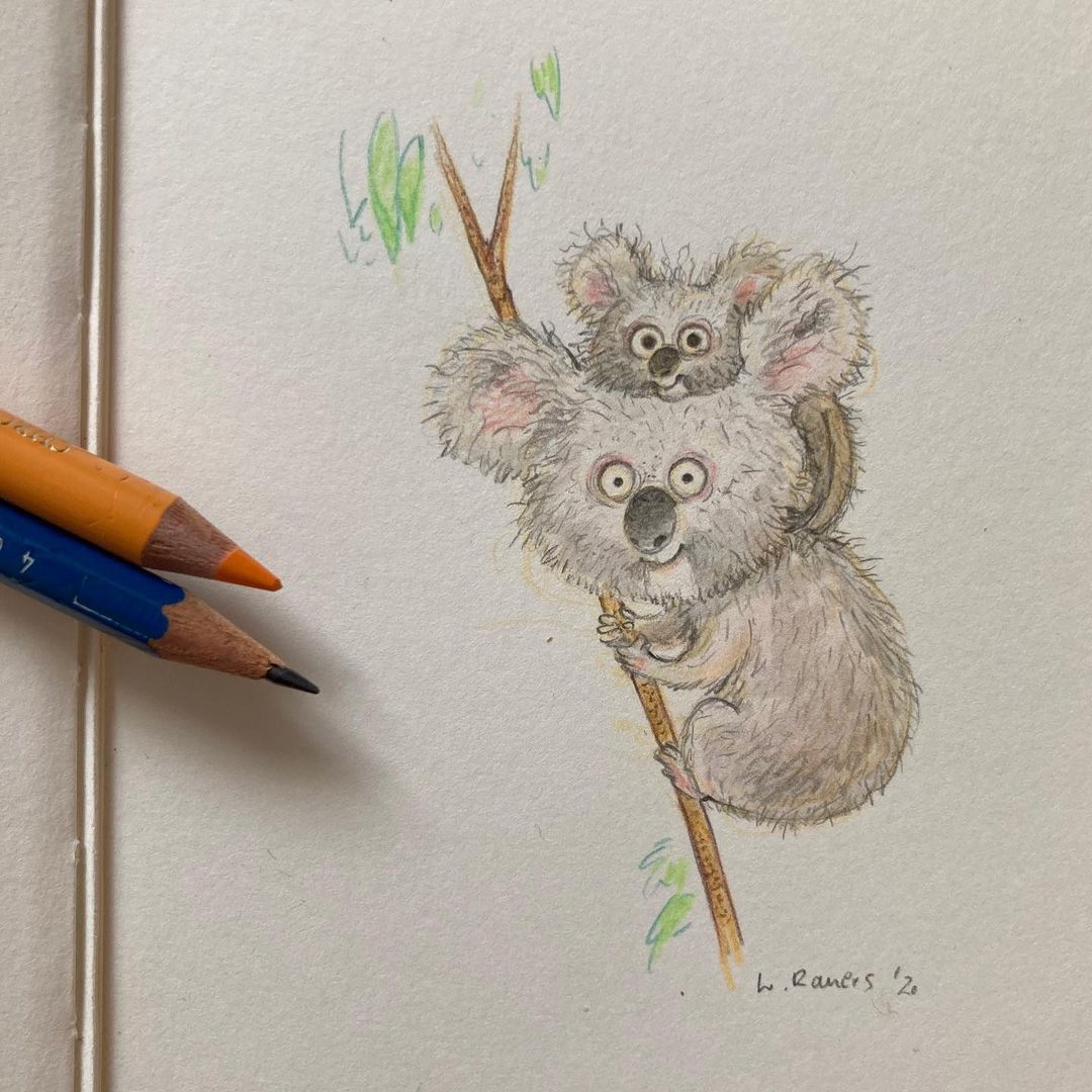 插画，插画师 Wiebke Rauers - 高清图片，堆糖，美图壁纸兴趣社区