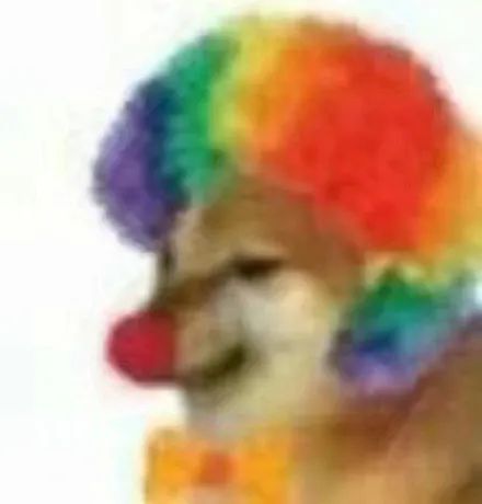 cheems - 堆糖，美图壁纸兴趣社区