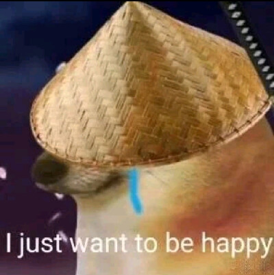 cheems - 堆糖，美图壁纸兴趣社区