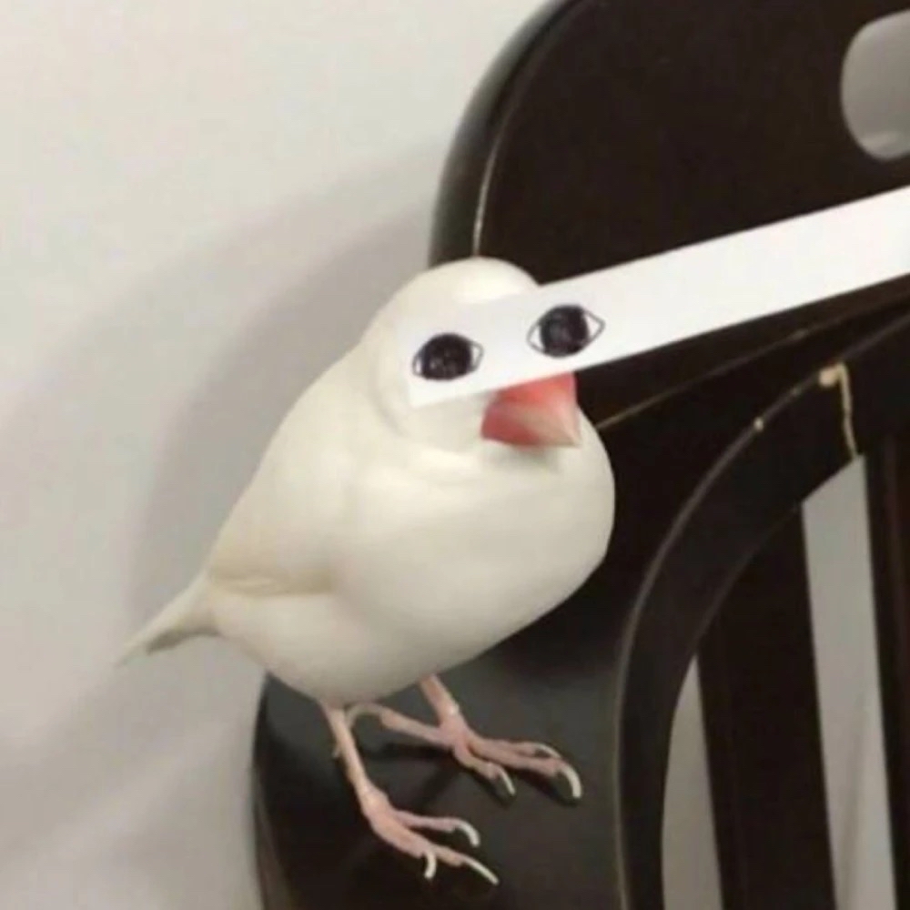 动物头像 - 堆糖，美图壁纸兴趣社区