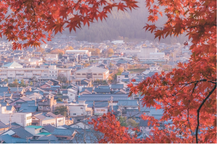 日本摄影师Akine Coco走的是“日式电影风”… - 堆糖，美图壁纸兴趣社区