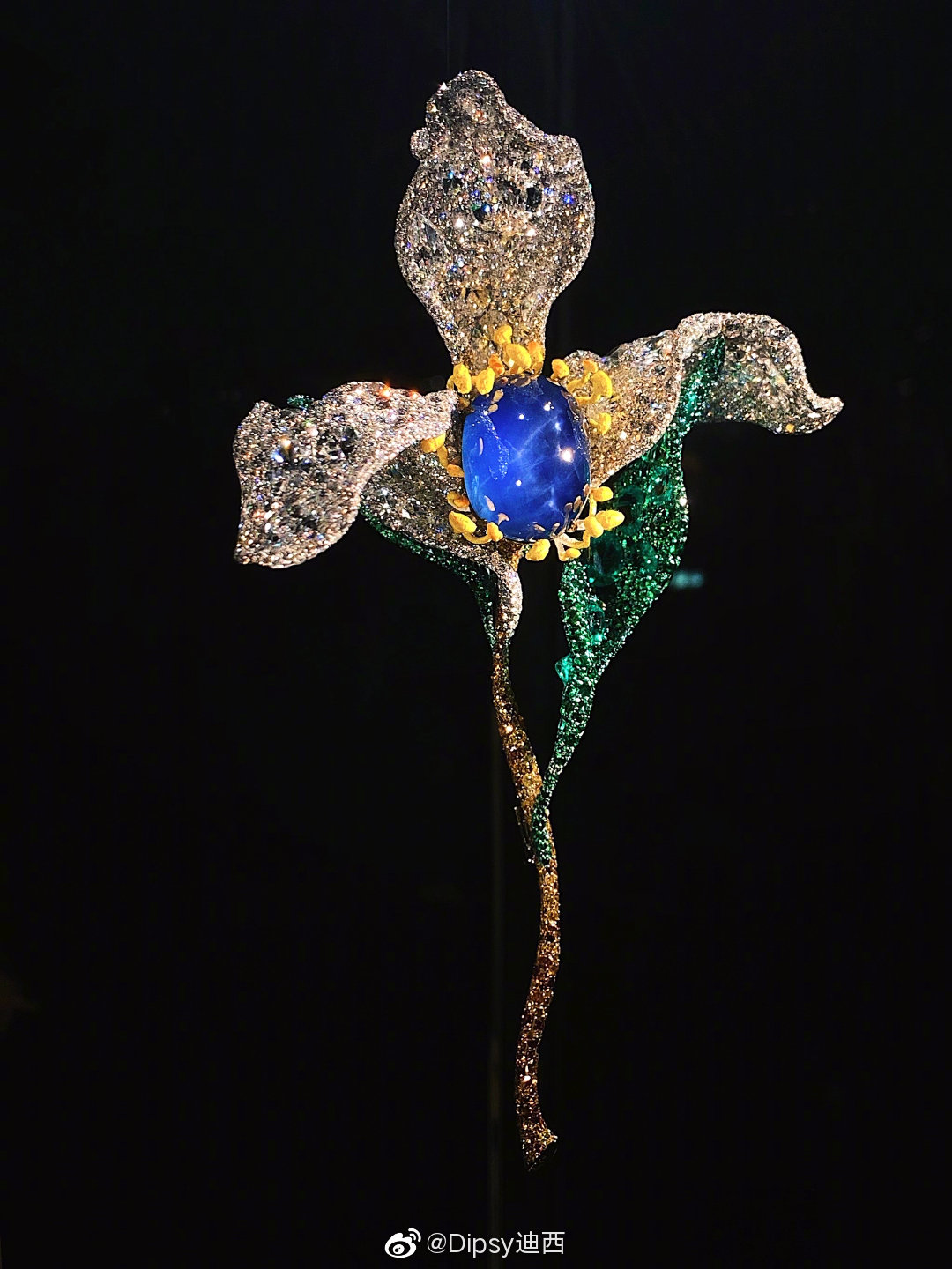 cindy chao - 高清图片，堆糖，美图壁纸兴趣社区