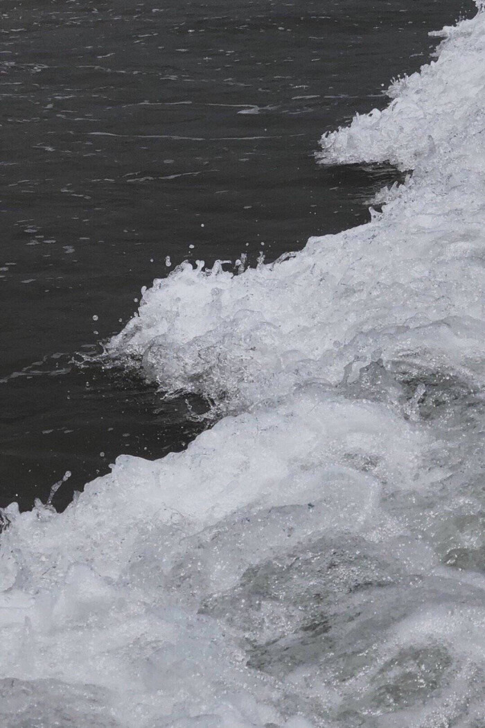 （19995*）學生會會長*/風紀委員…… - 高清图片，堆糖，美图壁纸兴趣社区