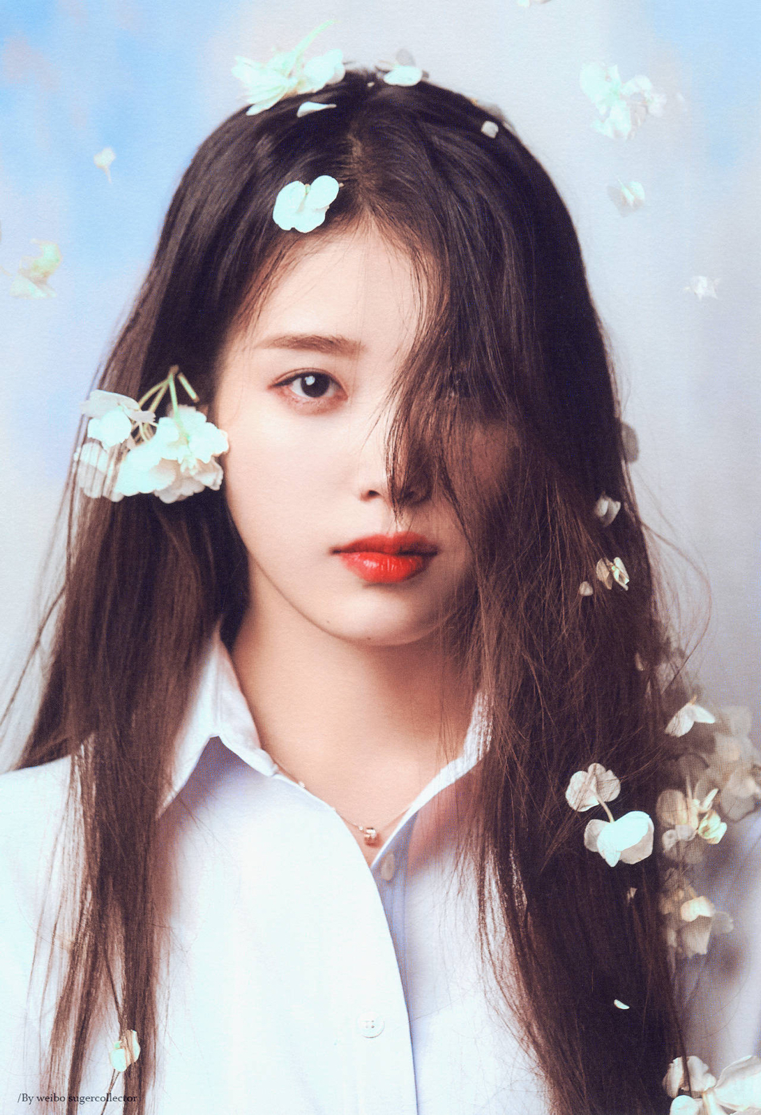 IU | LILAC扫图 cr:砂糖收藏家 - 高清图片，堆糖，美图壁纸兴趣社区