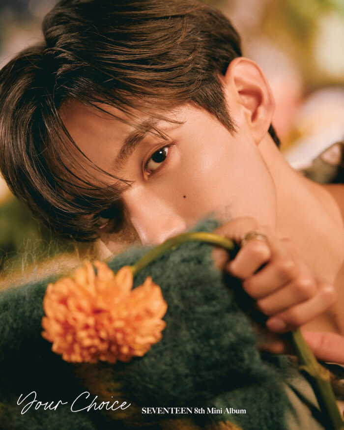 svt - 高清图片，堆糖，美图壁纸兴趣社区