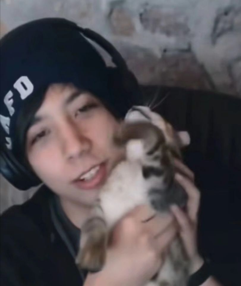 quackity图片壁纸-千图网