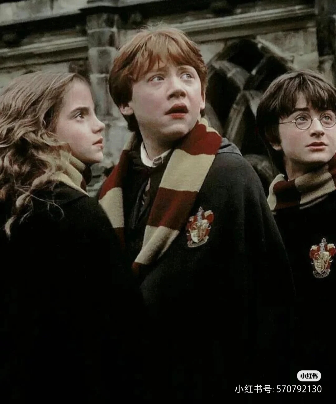 哈利波特 - 高清图片，堆糖，美图壁纸兴趣社区