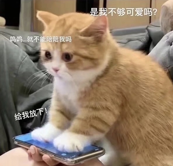 我们女孩子想要的 就必须搞到手 情侣 表情 高清图片，堆糖，美图壁纸兴趣社区