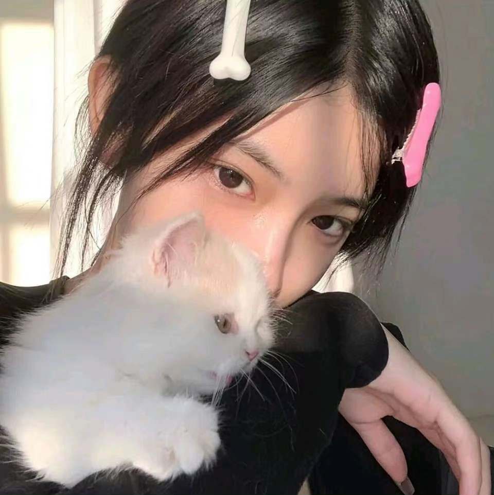 套图 堆糖,美图壁纸兴趣社区