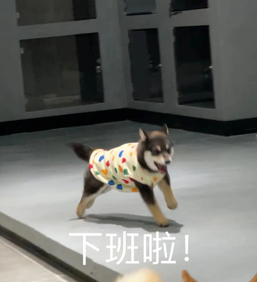 下班啦 表情包 - 高清图片，堆糖，美图壁纸兴趣社区