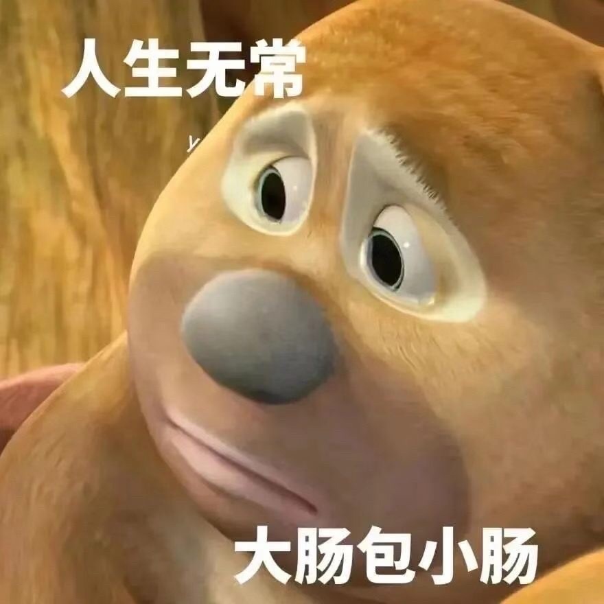 熊二表情包 - 高清图片，堆糖，美图壁纸兴趣社区