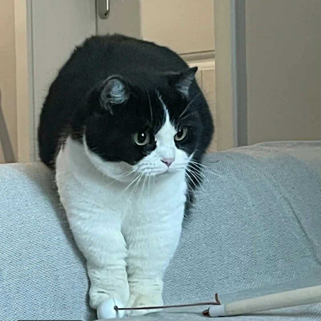 S4h - 高清图片，堆糖，美图壁纸兴趣社区