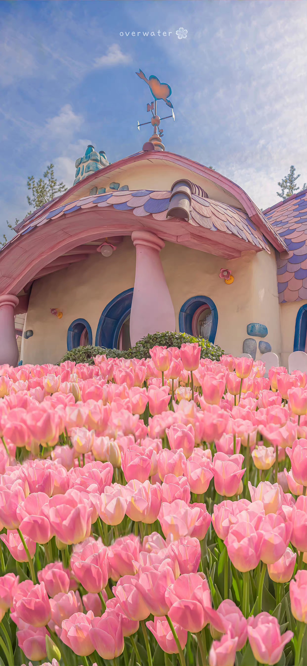 huii_ - 高清图片，堆糖，美图壁纸兴趣社区