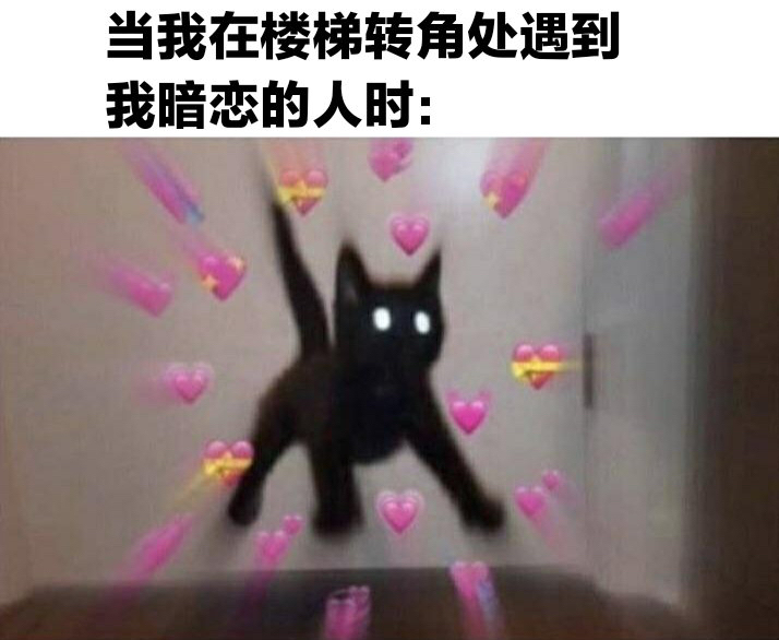 meme - 高清图片，堆糖，美图壁纸兴趣社区