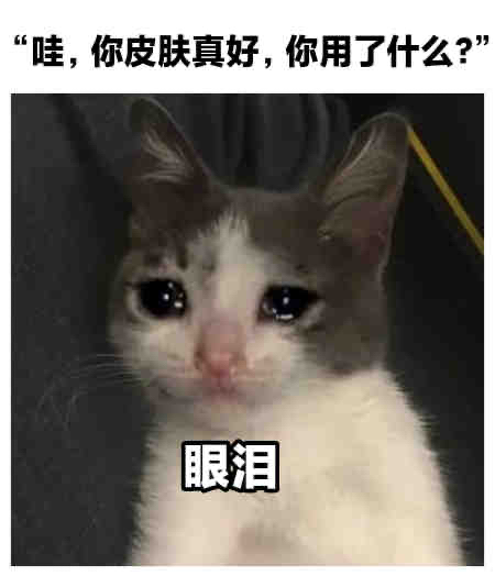 meme - 高清图片，堆糖，美图壁纸兴趣社区