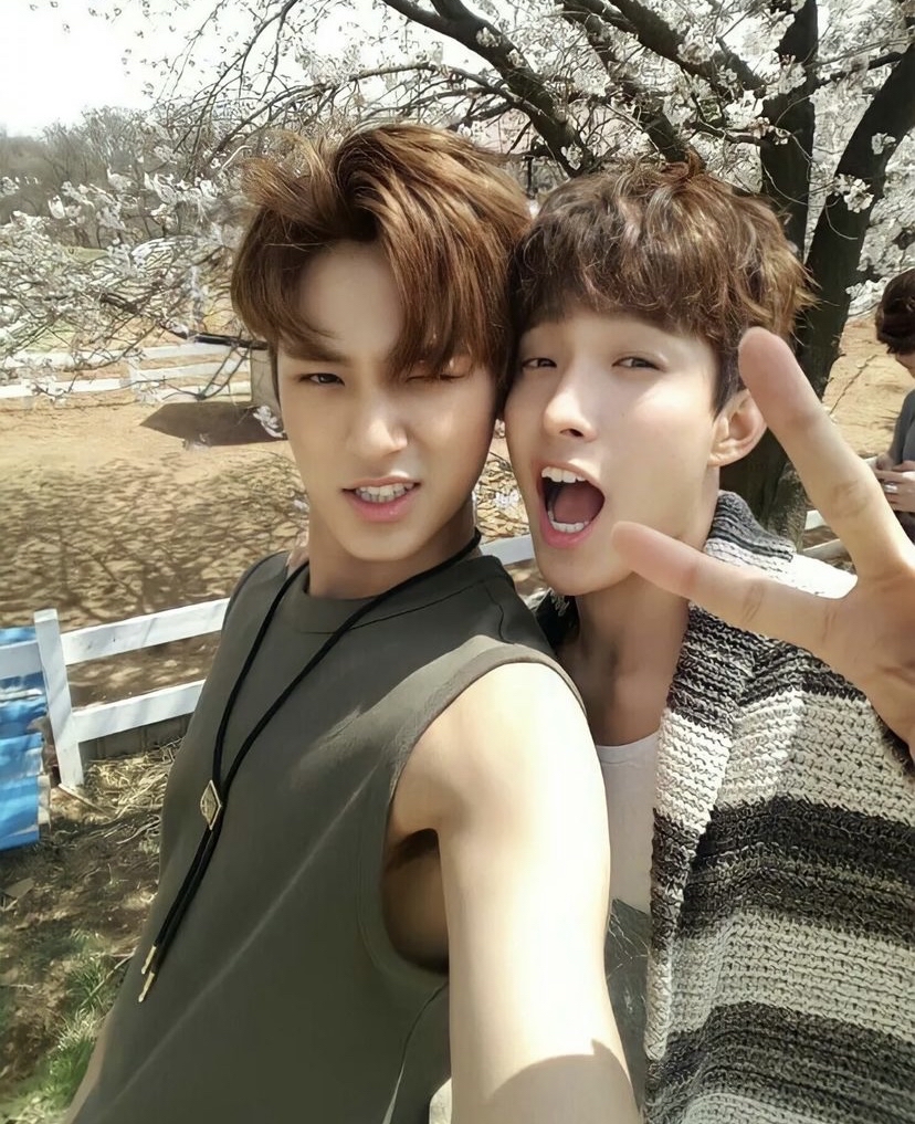 s v t - 高清图片，堆糖，美图壁纸兴趣社区