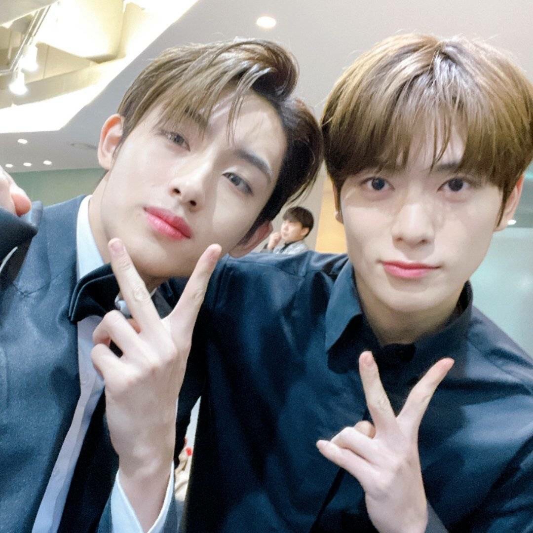 97 - 高清图片，堆糖，美图壁纸兴趣社区