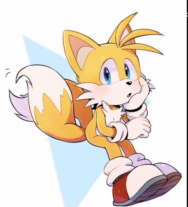 tails - 高清图片，堆糖，美图壁纸兴趣社区