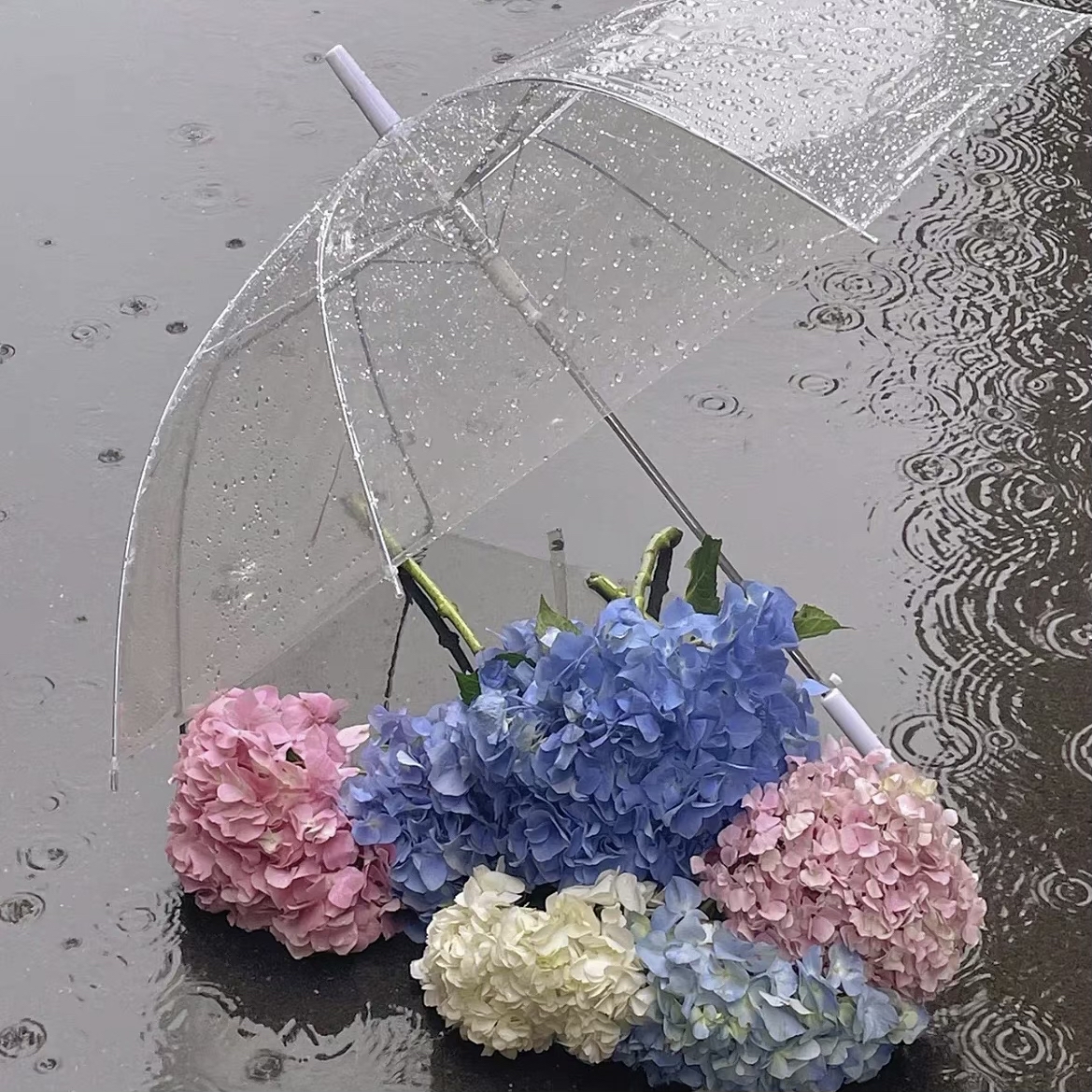 ins - 堆糖，美图壁纸兴趣社区