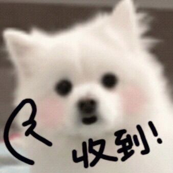 小狗表情包 - 高清图片，堆糖，美图壁纸兴趣社区