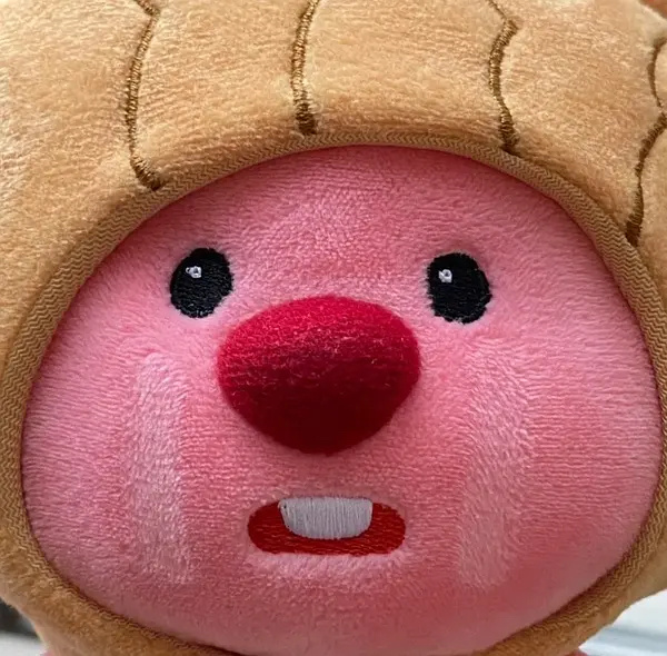 才知道这个叫loopy！是小海狸 - 高清图片，堆糖，美图壁纸兴趣社区