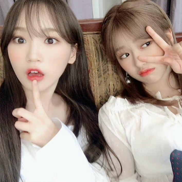 izone - 堆糖，美图壁纸兴趣社区