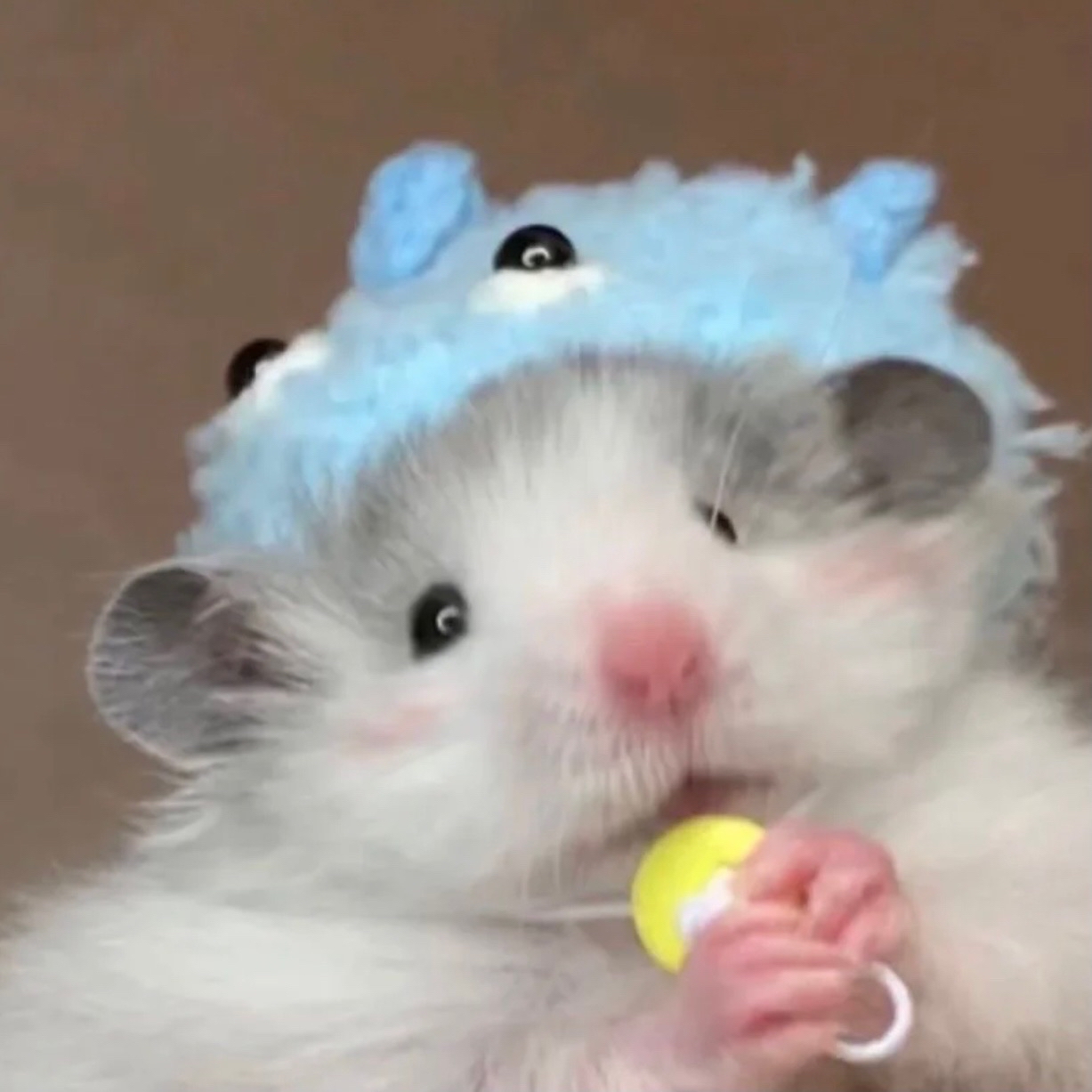 搞怪头像 - 堆糖，美图壁纸兴趣社区