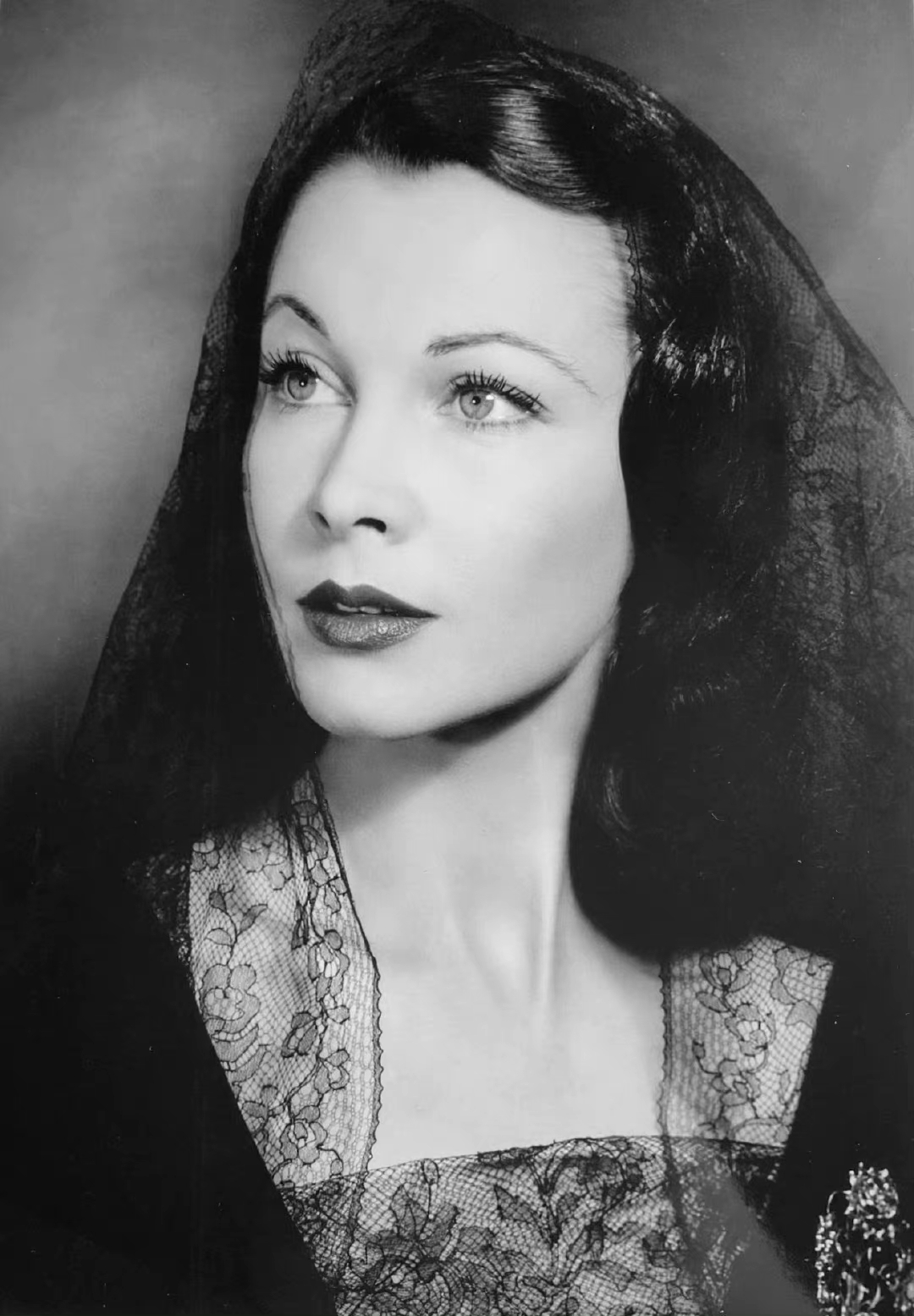 Vivien Leigh - 高清图片，堆糖，美图壁纸兴趣社区