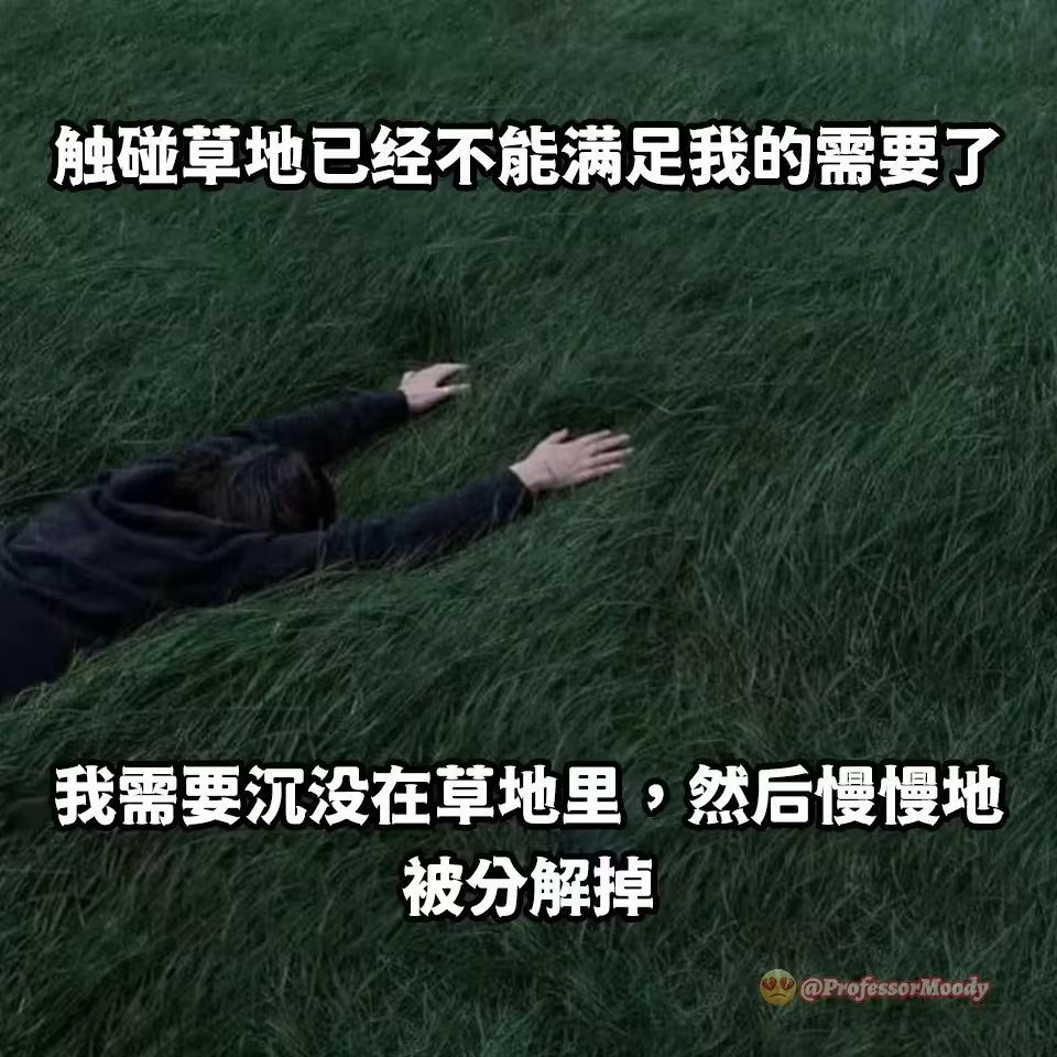 meme梗图 - 高清图片，堆糖，美图壁纸兴趣社区