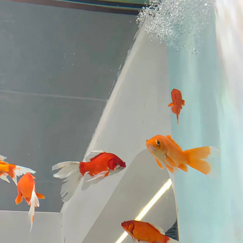 blue 背景 - 堆糖，美图壁纸兴趣社区