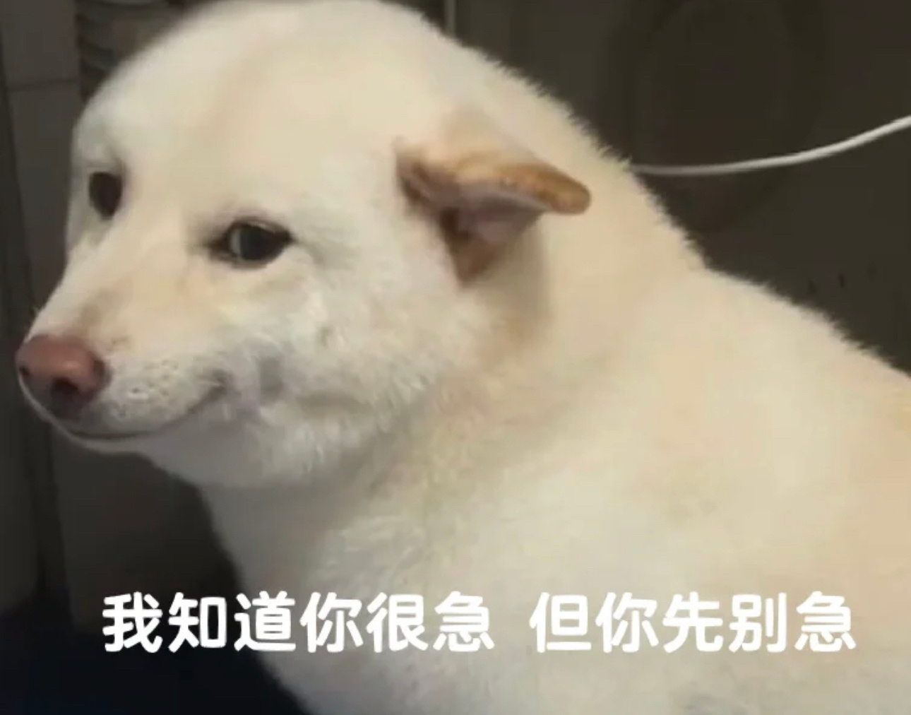 表情包 - 高清图片，堆糖，美图壁纸兴趣社区