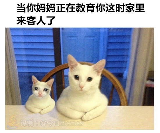 meme图 - 高清图片，堆糖，美图壁纸兴趣社区