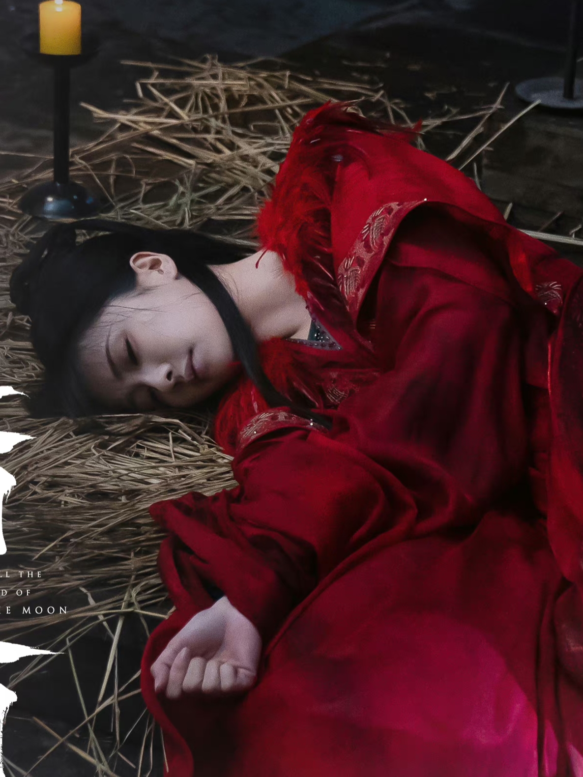 长月烬明 叶夕雾 桑酒 黎苏苏 白鹿 高清图片,堆糖,美图壁纸兴趣社区