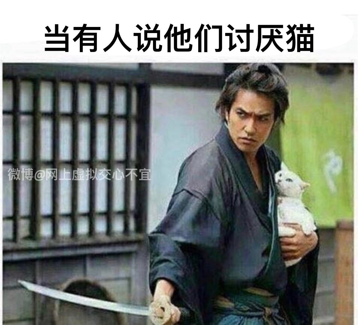 meme图 - 高清图片，堆糖，美图壁纸兴趣社区