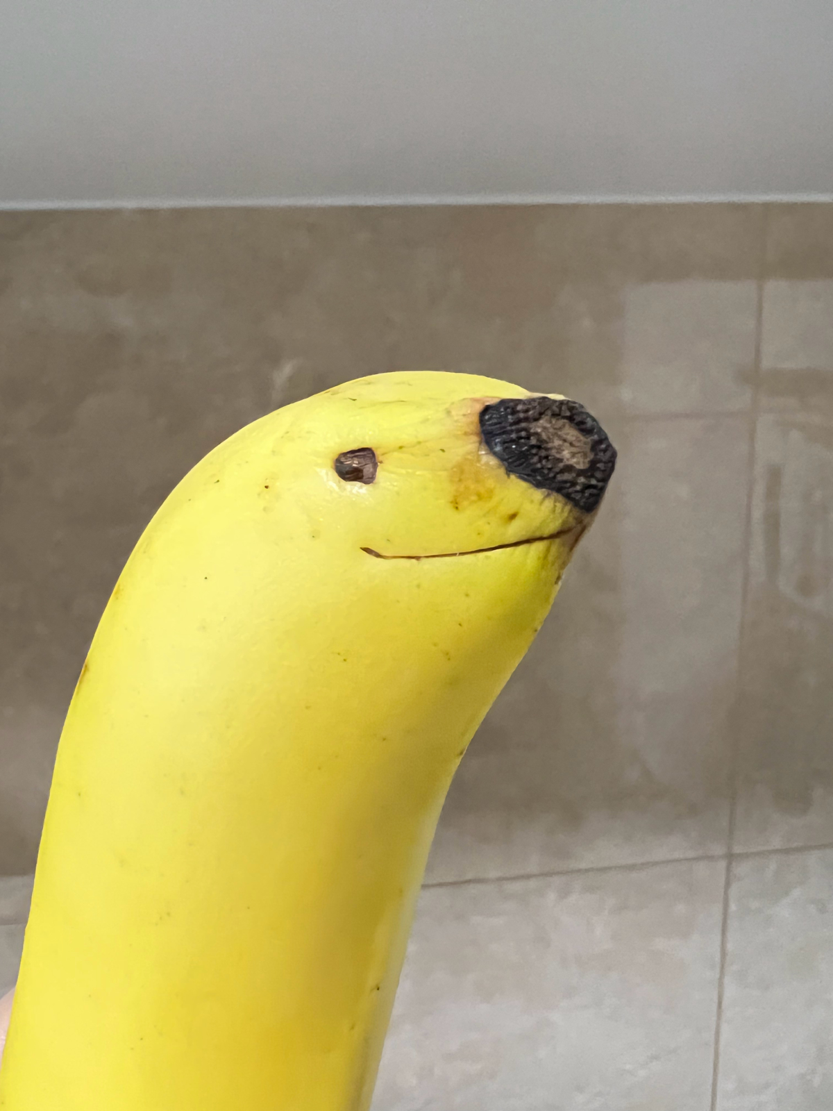 7788 - 高清图片，堆糖，美图壁纸兴趣社区