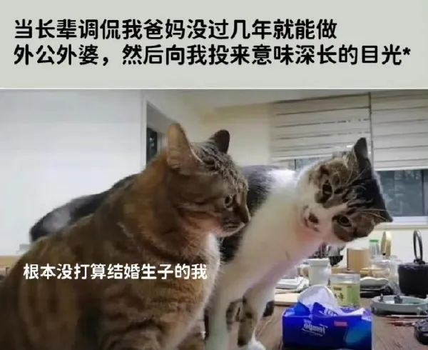 梗图 - 高清图片，堆糖，美图壁纸兴趣社区