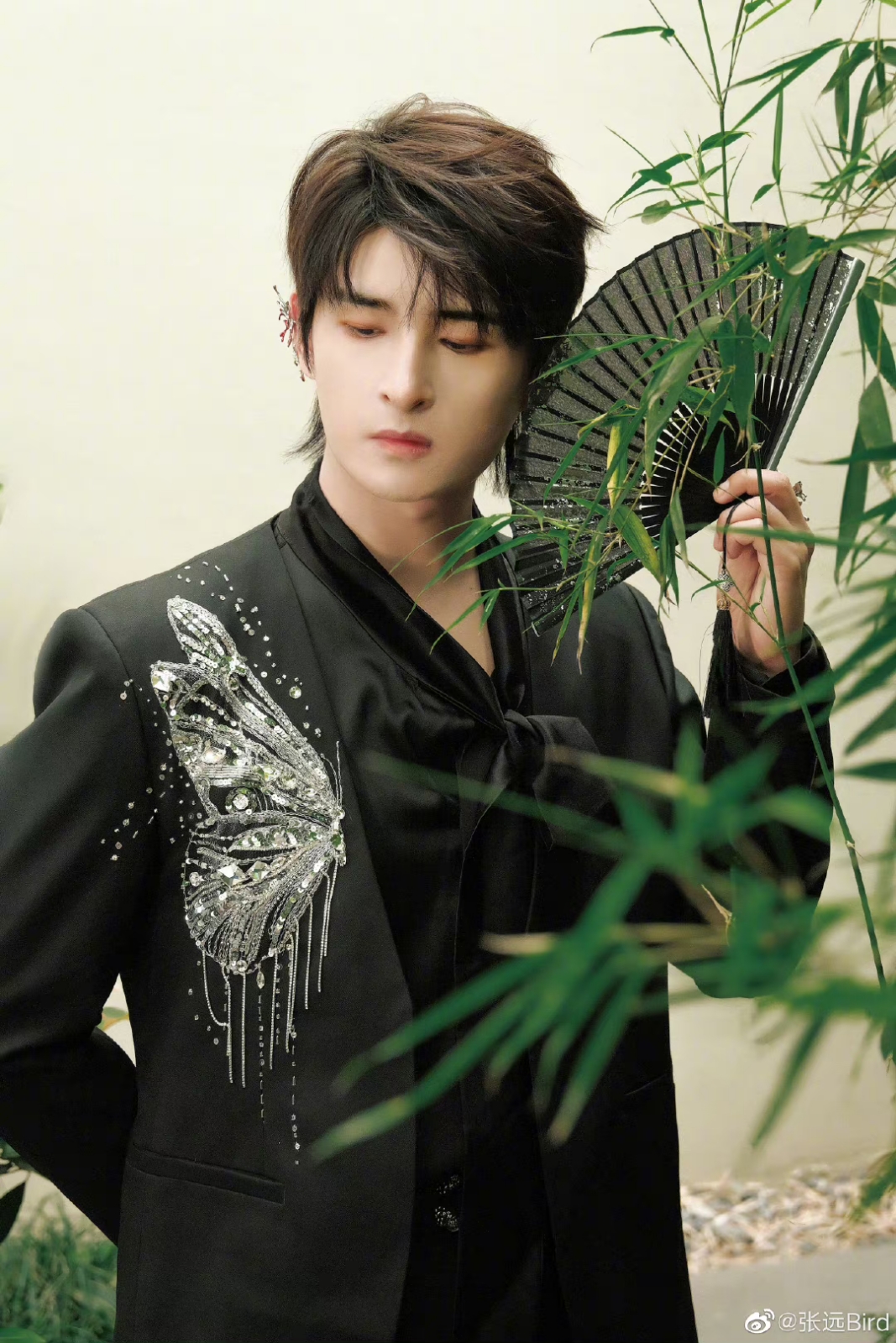 张远 - 高清图片，堆糖，美图壁纸兴趣社区