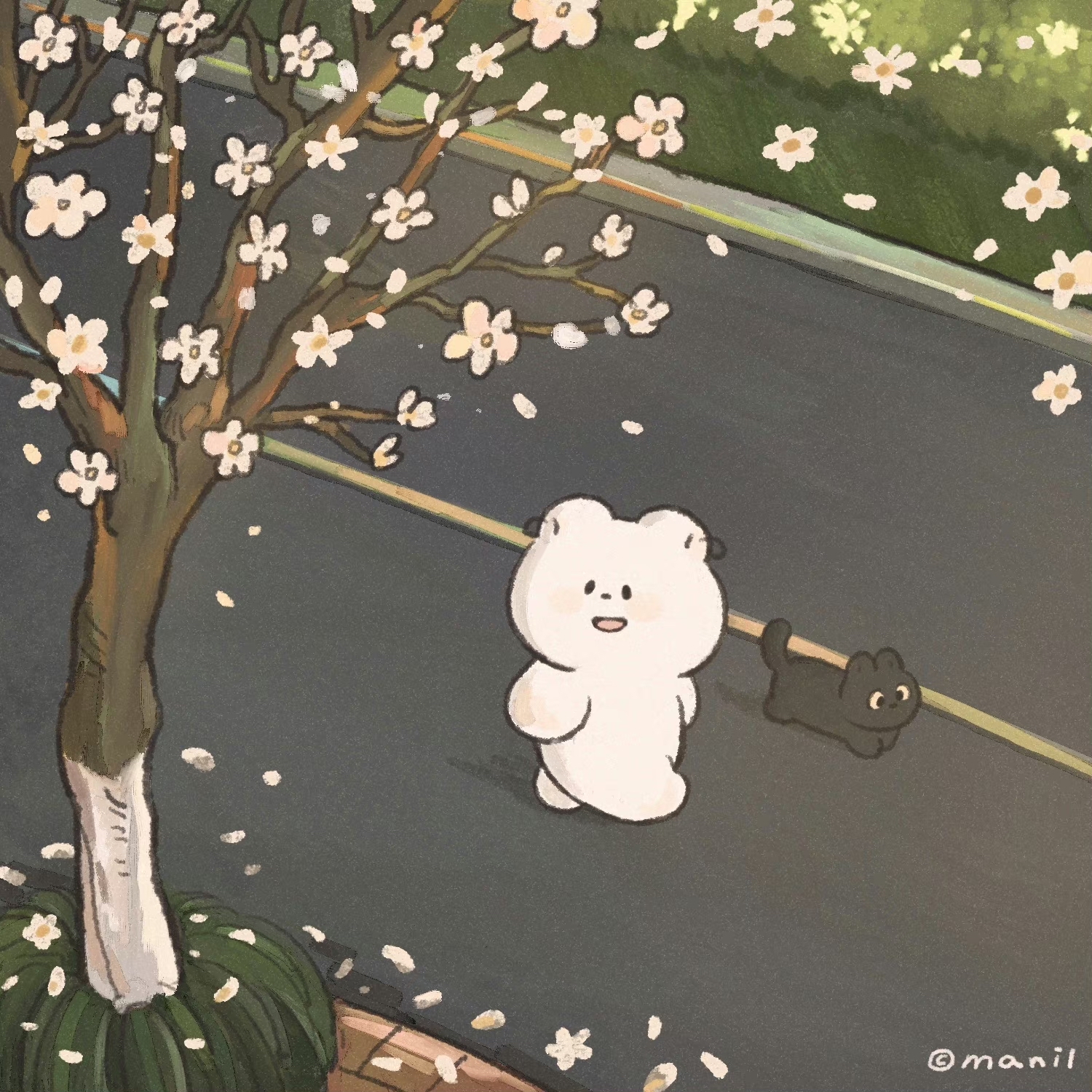 manil - 高清图片，堆糖，美图壁纸兴趣社区