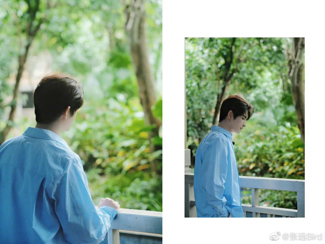 张远 - 高清图片，堆糖，美图壁纸兴趣社区