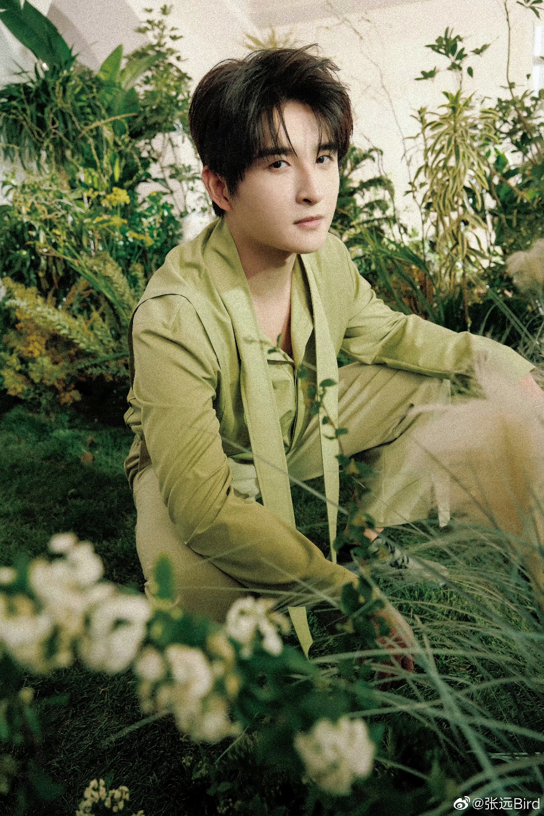 张远 - 高清图片，堆糖，美图壁纸兴趣社区